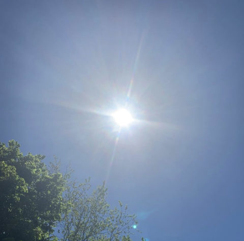 A God spark… | Maria Deesy